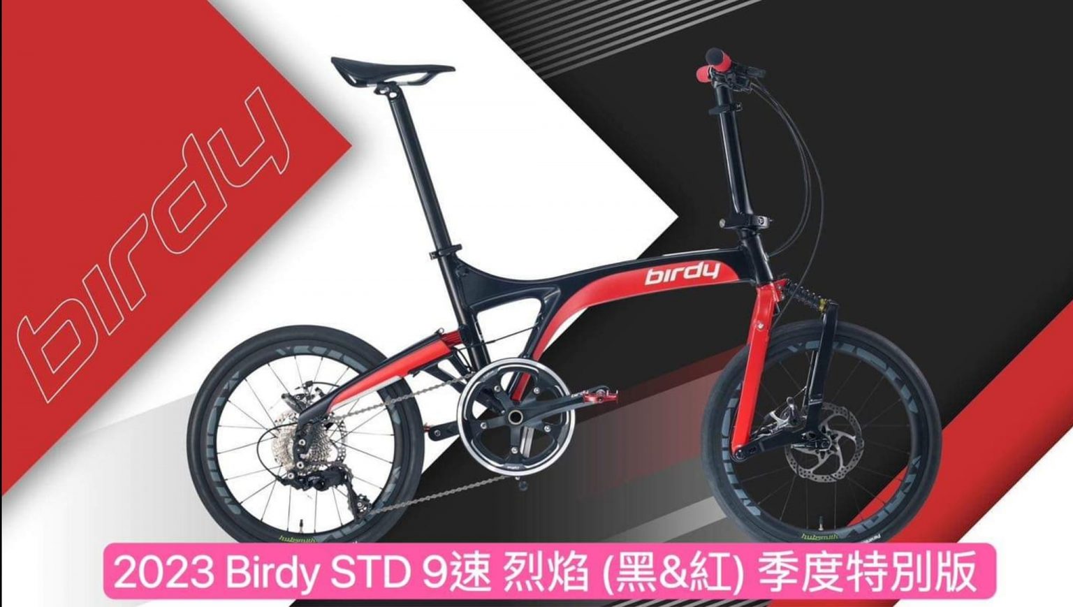 2023 18吋 BIRDY 3 STANDARD 9速摺疊單車 (特別版) – 龍記單車