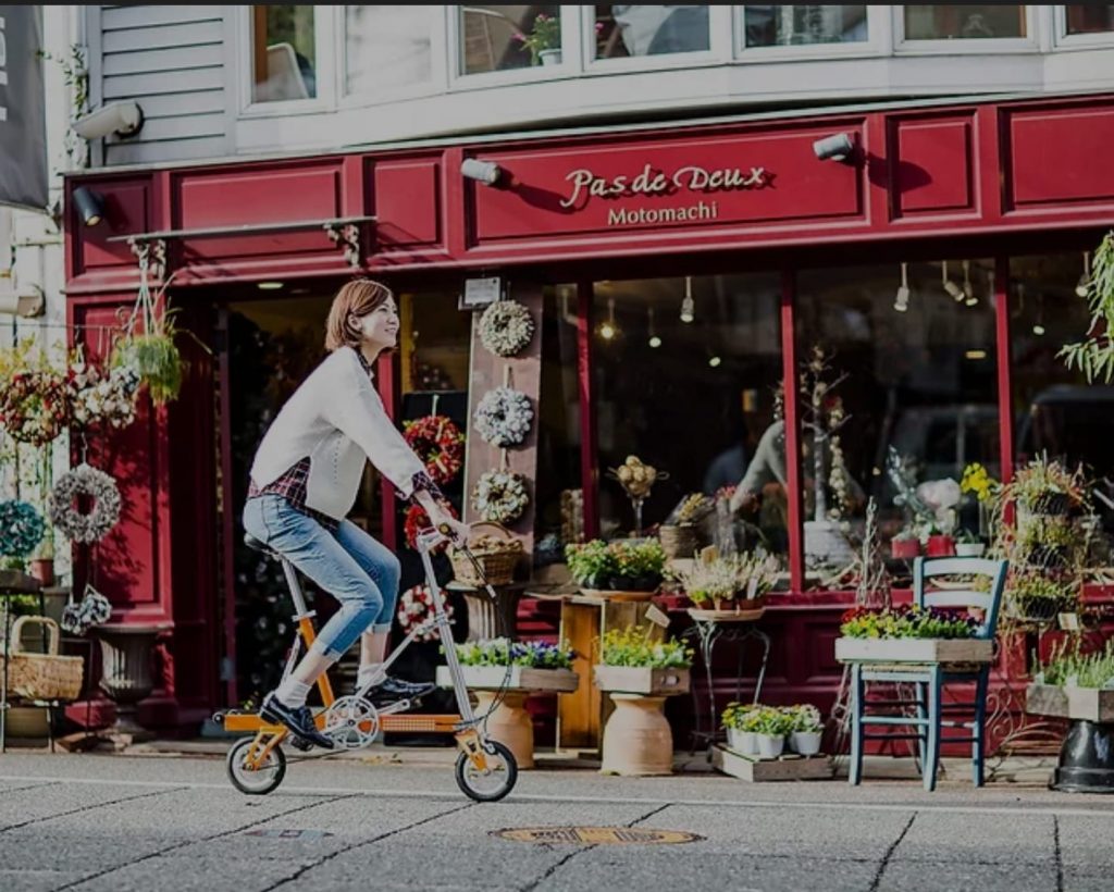 8″ Pacific CarryMe SD 摺疊單車 – 龍記單車