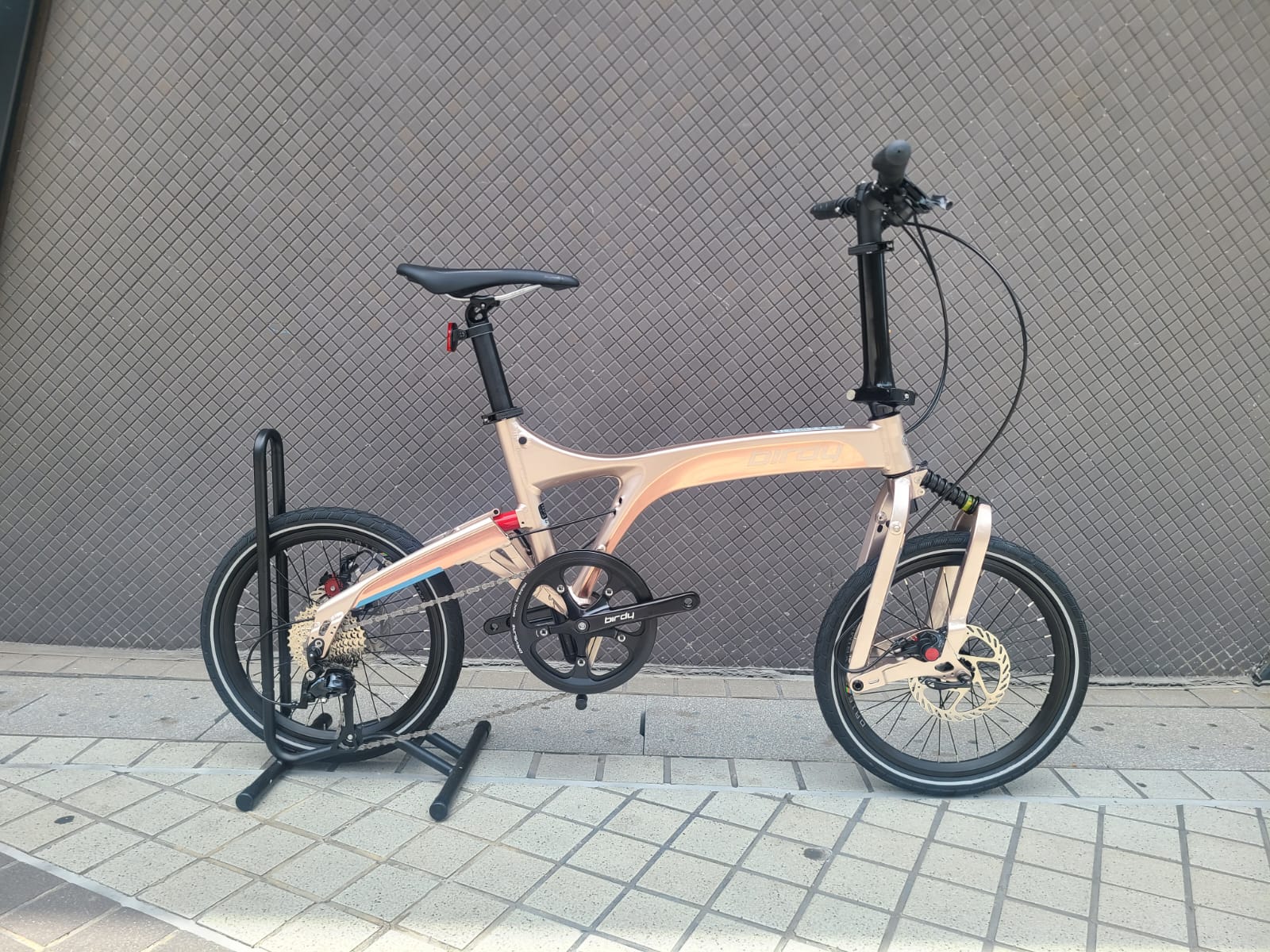 2024 18″ BIRDY 3 STD 摺車 季度特別色 玫瑰金 (ROSE GOLD) 9速摺疊單車 – 龍記單車